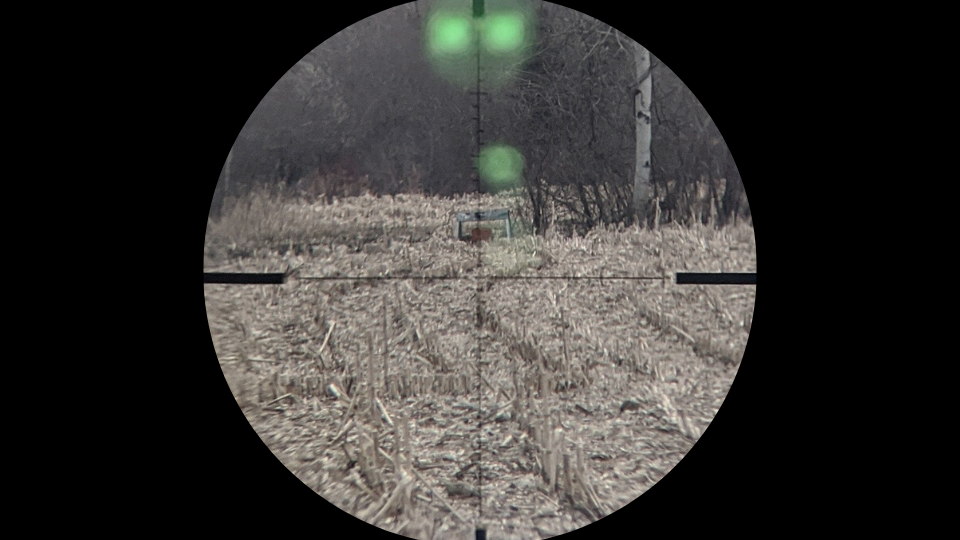 Psalm 144 & Disciple Defense Group – Disciple Defense Group